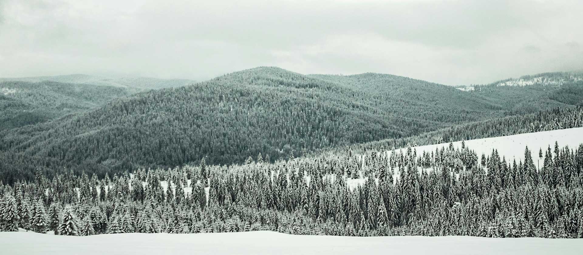 The Friendship of C.S. Lewis and J.R.R. Tolkien - Fellowship for ...